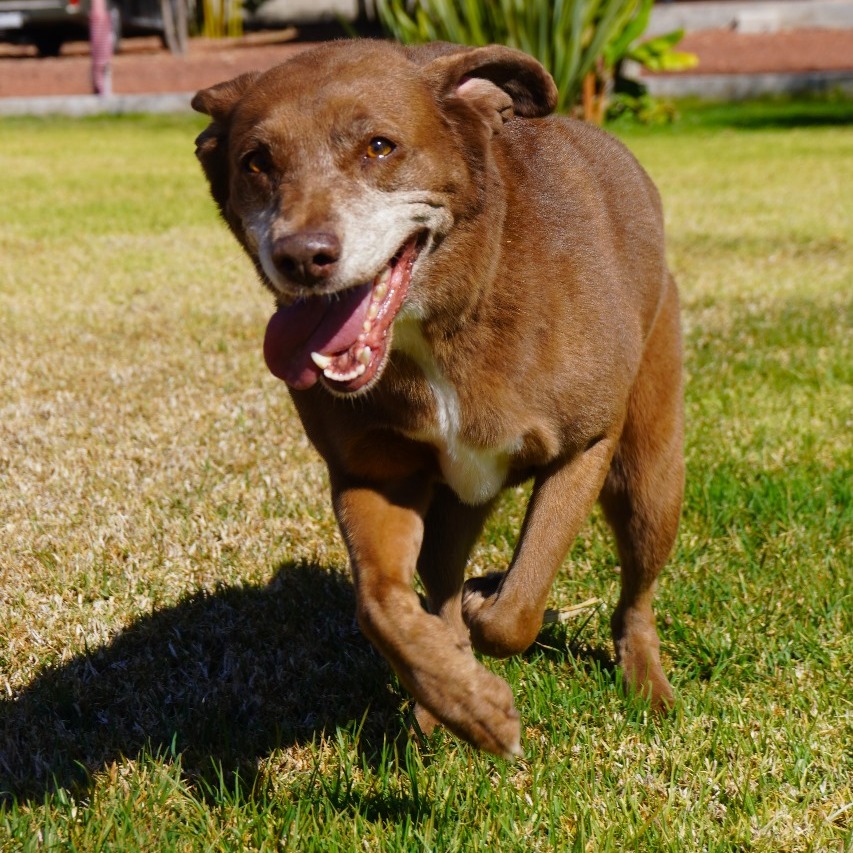 Perfil de Chachis_23